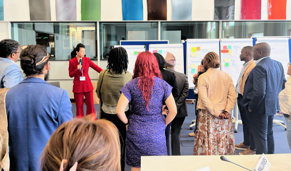 COP28 ACE MER Resources - MECCE